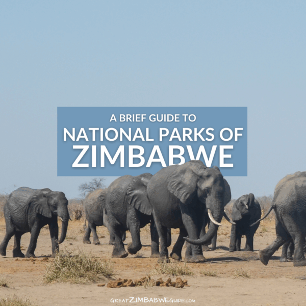 A brief guide to National Parks of Zimbabwe 2026